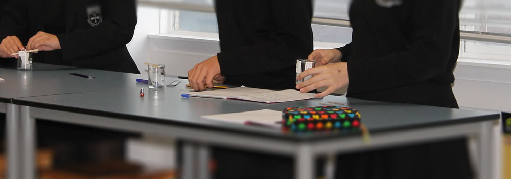 Communicating Science in the New Media Environment: The Advancement of ...