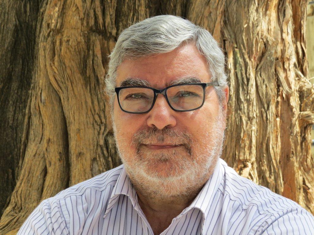 Rami Khouri on Lebanon’s Outlook and What Has Happened to the Country’s ...