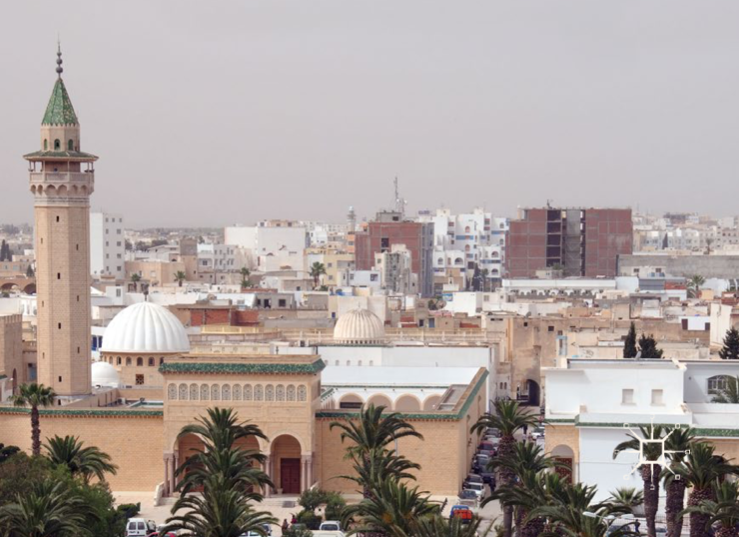 Women's Activisms and the Future of Feminist Movements in the Arab ...